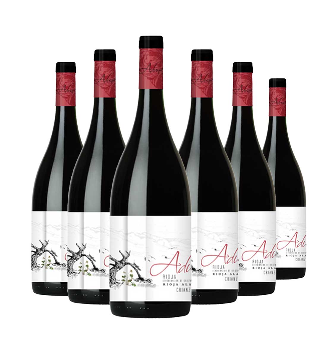 Aduna Tinto Crianza-Set direkt aus Spanien – Mitte Meer Onlineshop