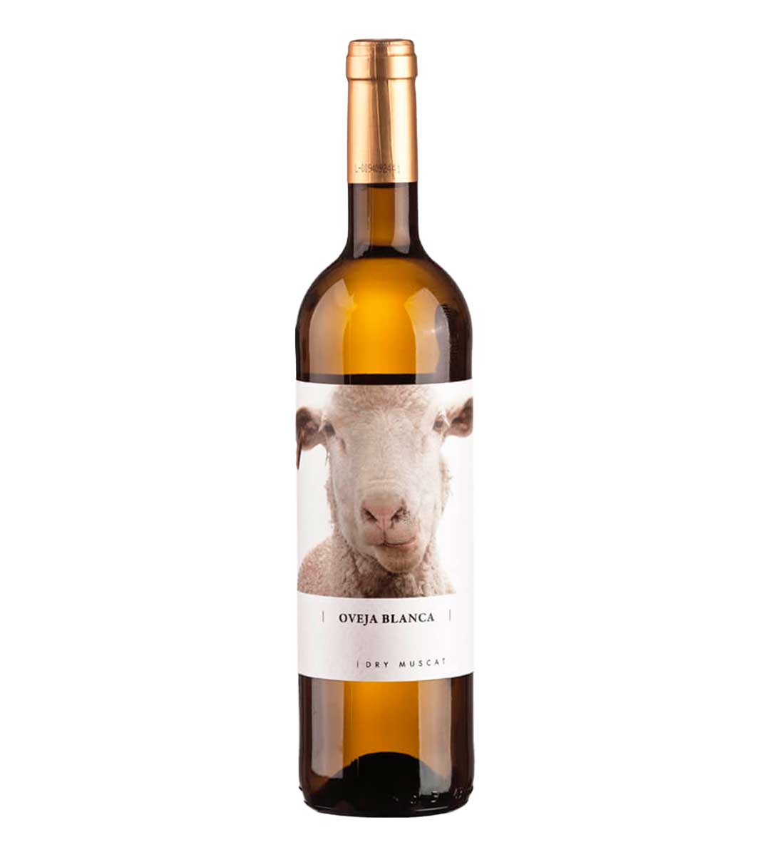 Oveja Blanca BIO: Aromatischer Moscatel aus den Höhenlagen Castillas ...